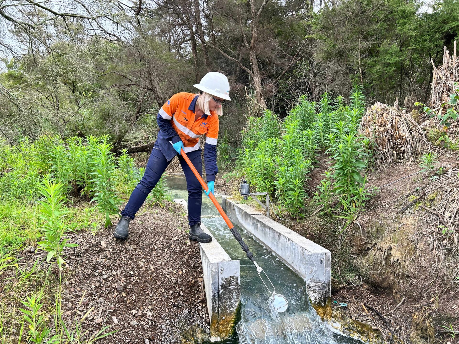 Sampling | Western Energy